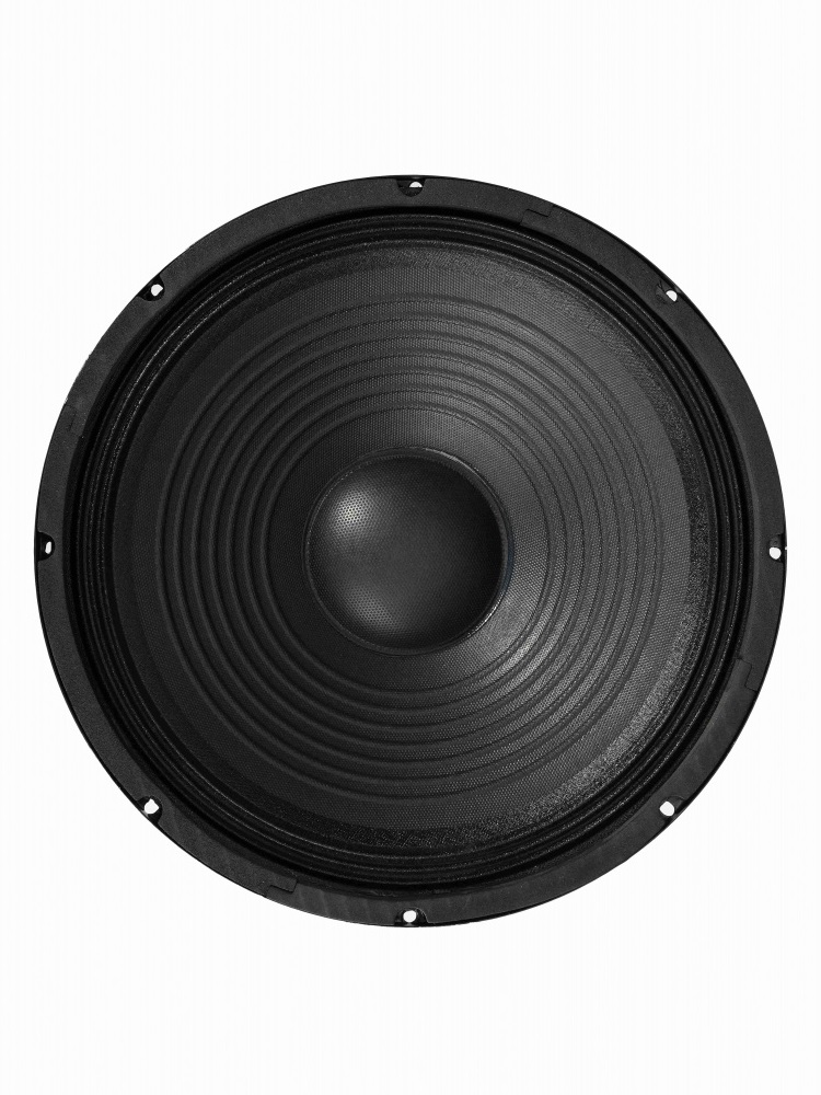 Leem Speaker-SPA12 Динамик НЧ-СЧ 12" — Динамики от интернет-магазина ...